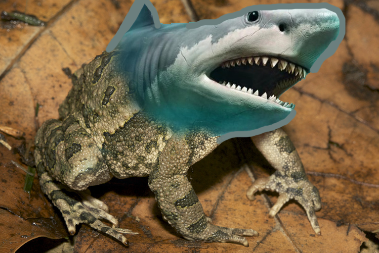 shrog – Uncharted Lancaster