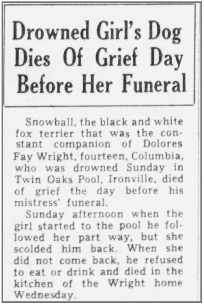 The Wandering Wight of Twin Oaks Swimming Pool – Uncharted Lancaster