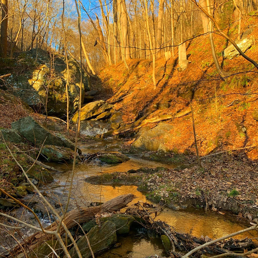 Side Quest: 1911 Muddy Run Railroad Dam – Uncharted Lancaster